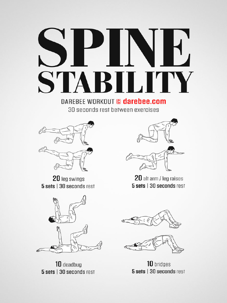 Spine Stability Workout | PDF