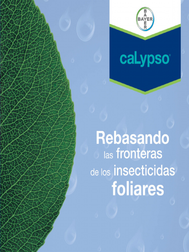 Calypso Folleto | PDF