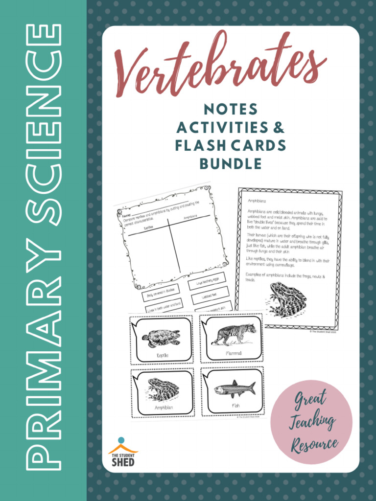 Vertebrates Notes and Activities Comp | PDF | Amphibian | Skin