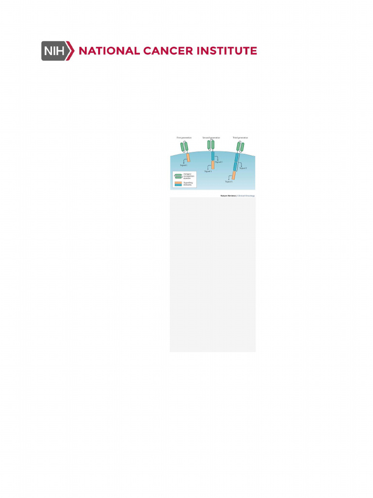 CAR T Cells- Engineering Immune Cells to Treat Cancer - NCI 2 | PDF | Câncer | Imunoterapia