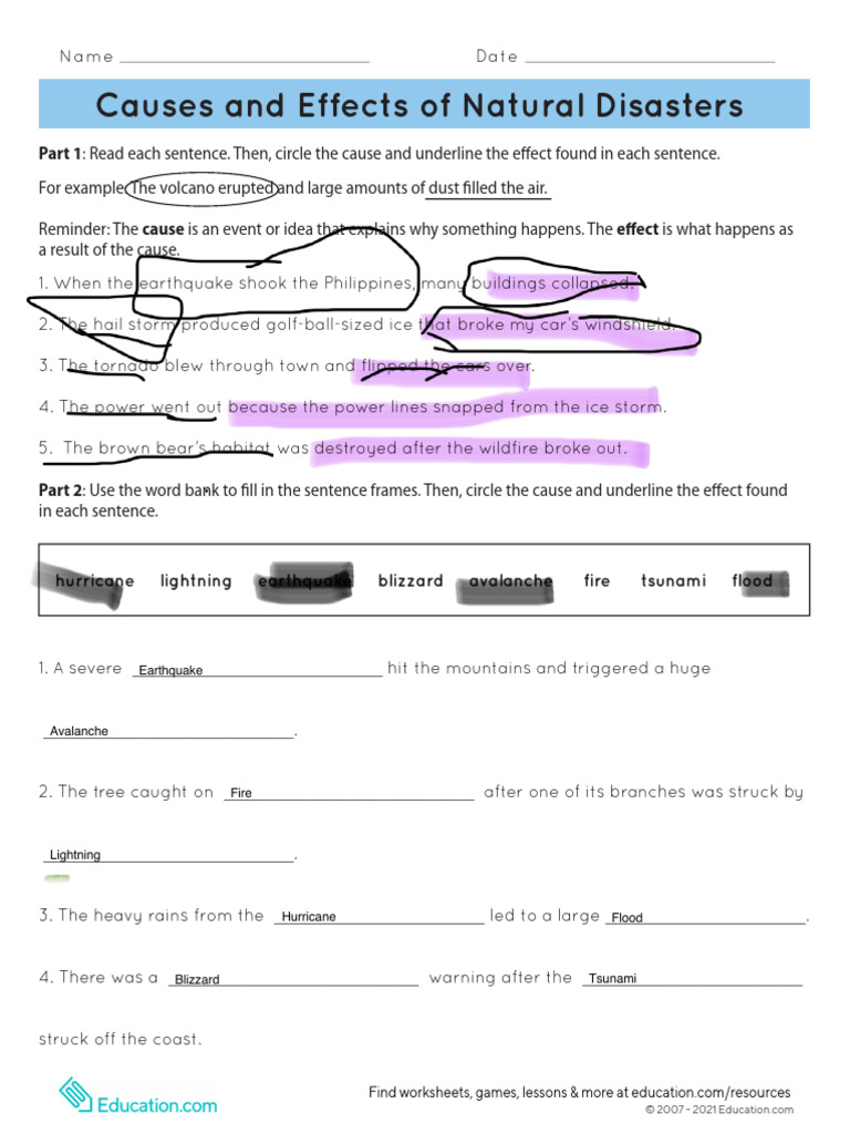 Causes and Effects of Tsunamis | PDF | Tsunami | Natural Disasters