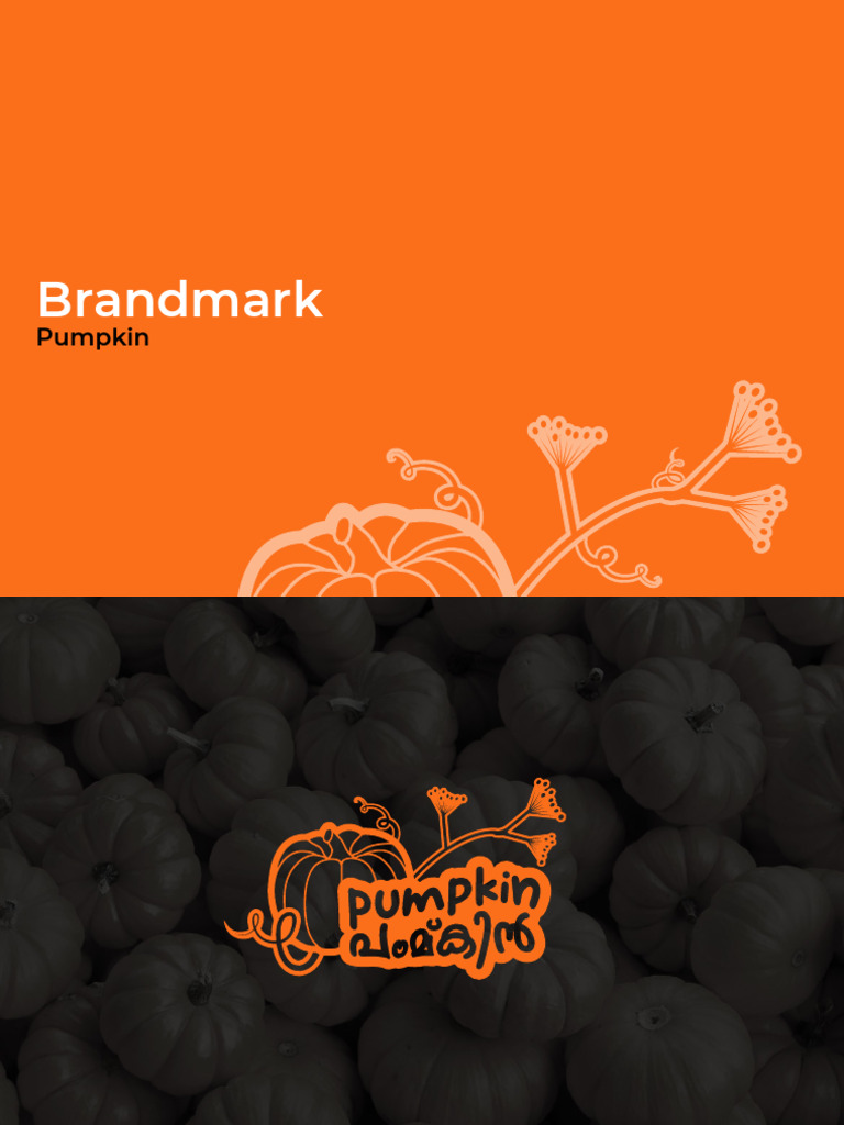 Brand Identity Color Guide | PDF