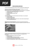 Evaluación Kapandji | PDF | Mano | Sistema musculoesquelético