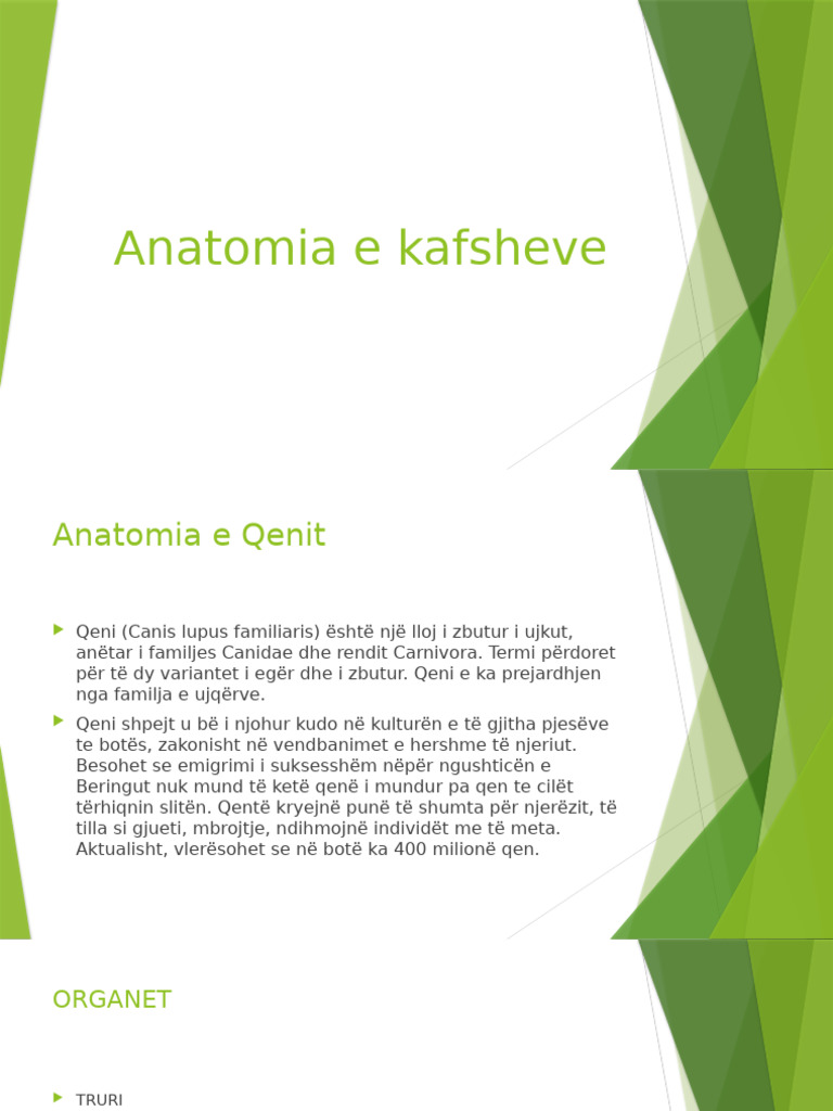 Anatomia e Kafsheve | PDF