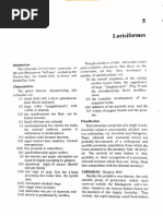 Primate Taxonomy and Classification Chart | PDF | Monkey | Ape
