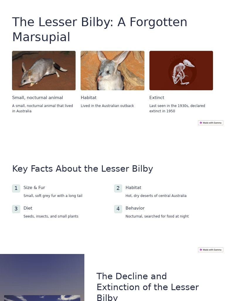 Lesser Bilby: Extinct Australian Marsupial | PDF | Home & Garden