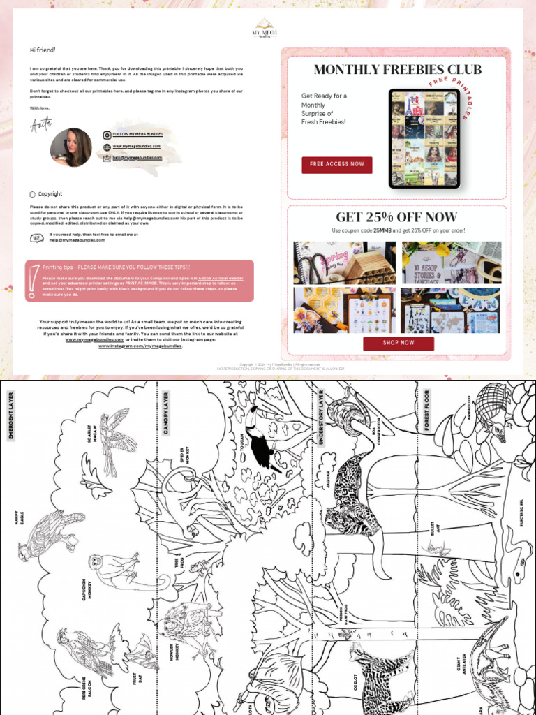 Rainforest Coloring On 2 Pages | PDF