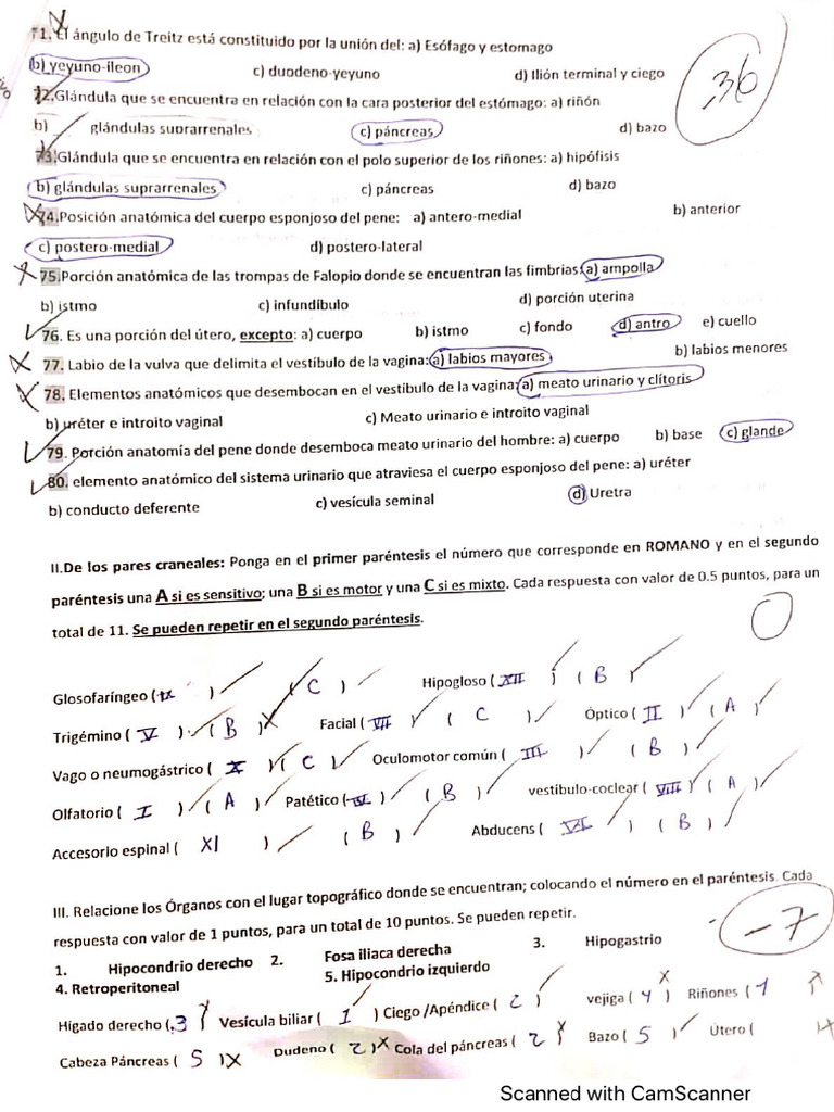 Examen Final Ymaya | PDF