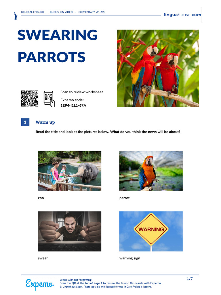 Swearing Parrots American English Teacher | PDF | Verb | Parrot