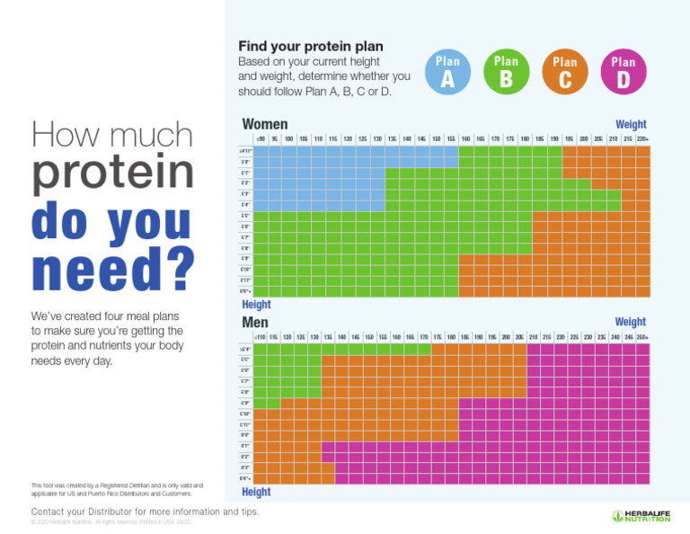 How Much Protein Do You Need Meal Chart | PDF | Health Promotion ...