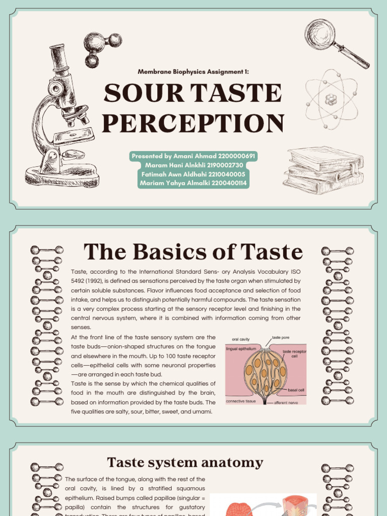 Sour taste presentation | PDF | Taste | Senses