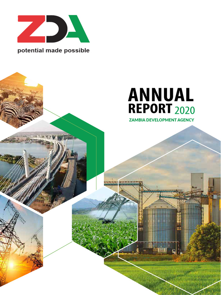 ZDA 2020 Annual Report 2020 | PDF | Foreign Direct Investment | Small ...