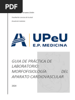 Función y Ubicación del Plexo Cardíaco | PDF