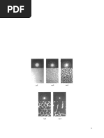 Standard Radiographic Technique Chart | PDF | Radiography | X Ray