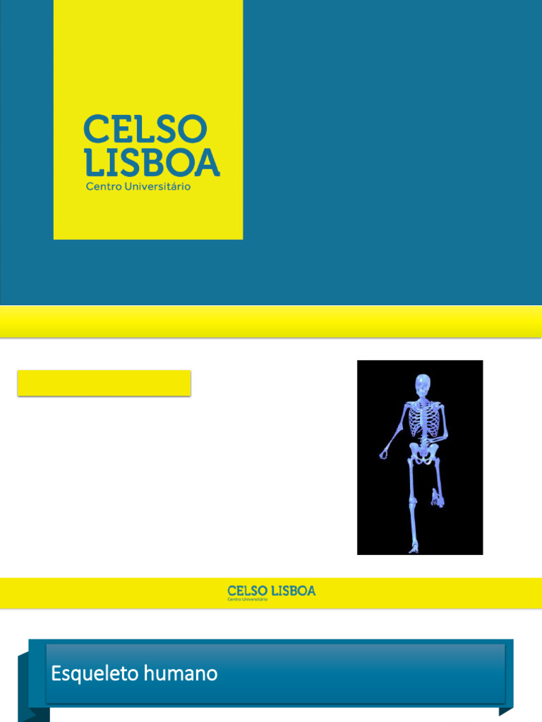 Introdução à Osteologia e Tipos de Ossos | PDF | Osso | Esqueleto