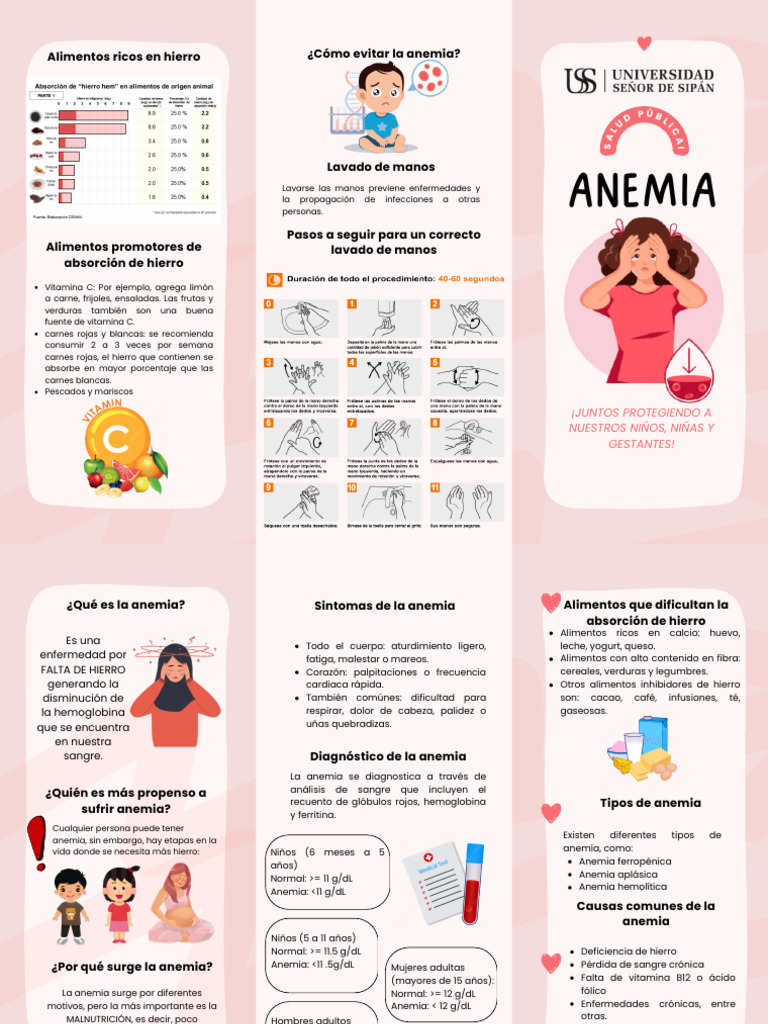 La Anemia | PDF | Anemia | Enfermedades y trastornos