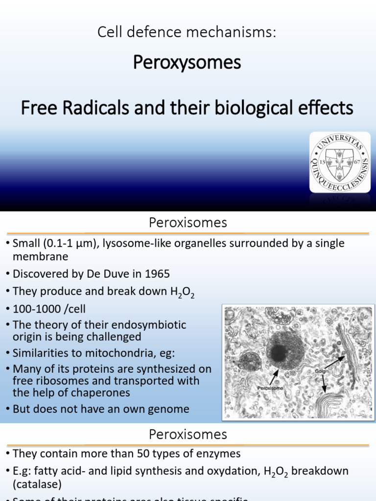 39 Cell Defence II Free Radicals | PDF | Reactive Oxygen Species ...