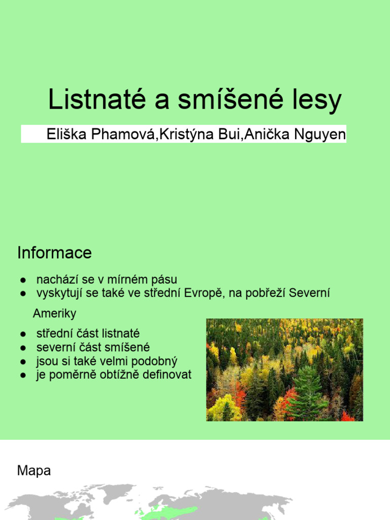 Listnaté Stromy | PDF