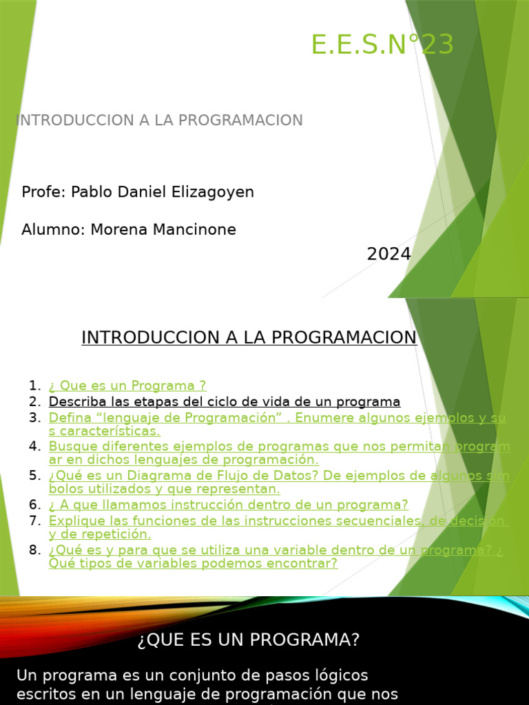 Introduccion A La Programacion | PDF | Lenguaje de programación | Programa de computadora