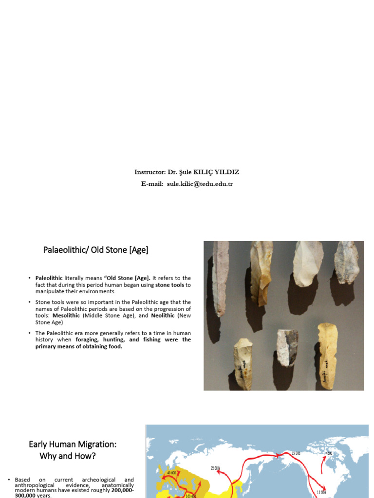 HUM 101 - Paleolithic Societies | PDF | Paleolithic | Stone Age