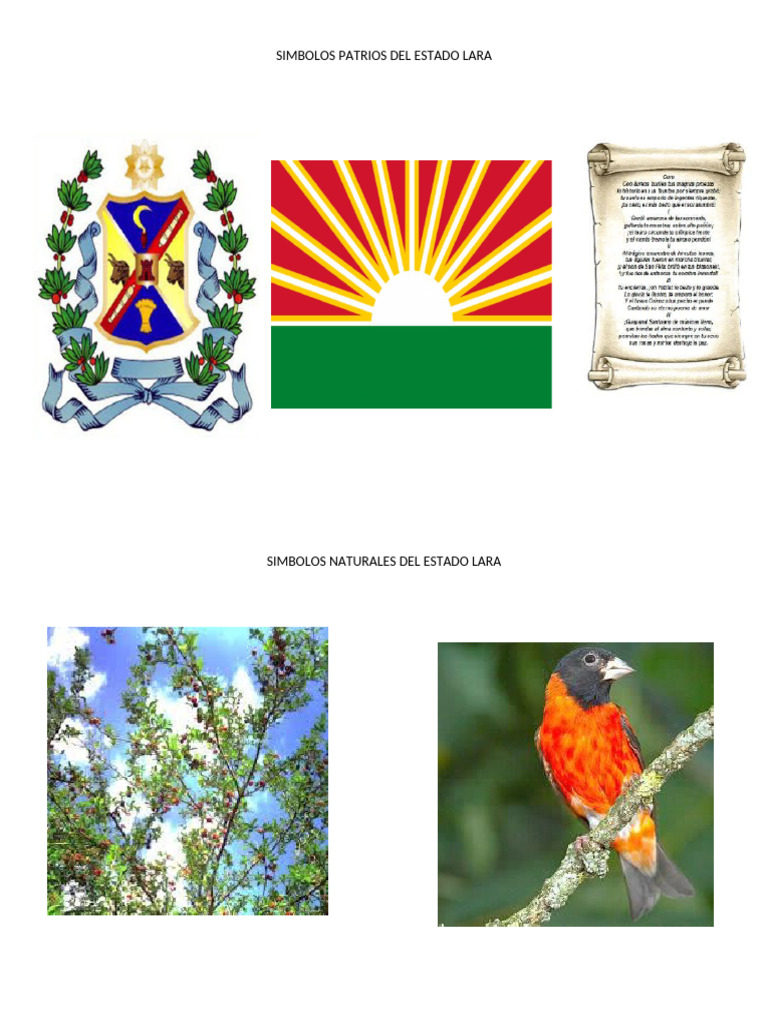 Simbolos Patrios Del Estado Lara | PDF