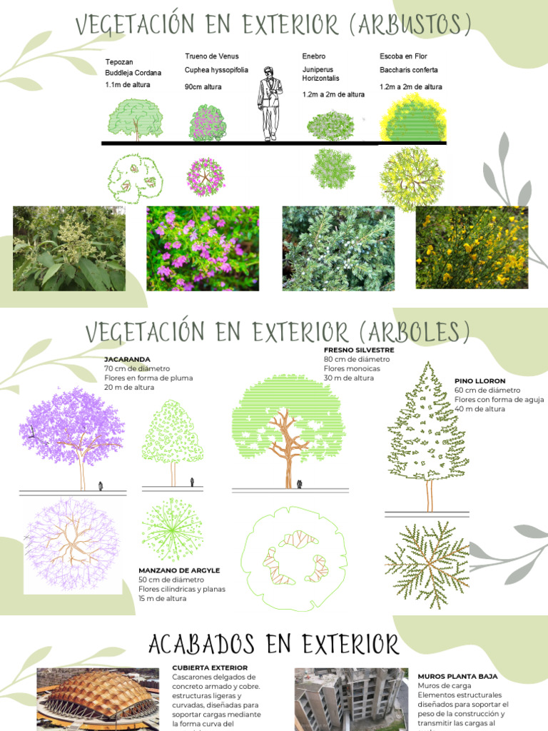Propuesta de Vegetacion | PDF | Hormigón | Ingeniería de Edificación
