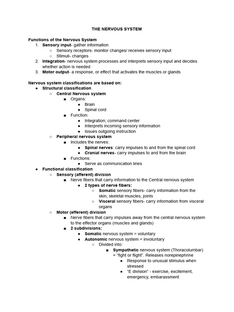 Nervous System Overview & Functions | PDF | Neuron | Axon