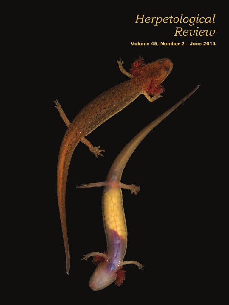 Herpetological Review | PDF | Frog | Pond