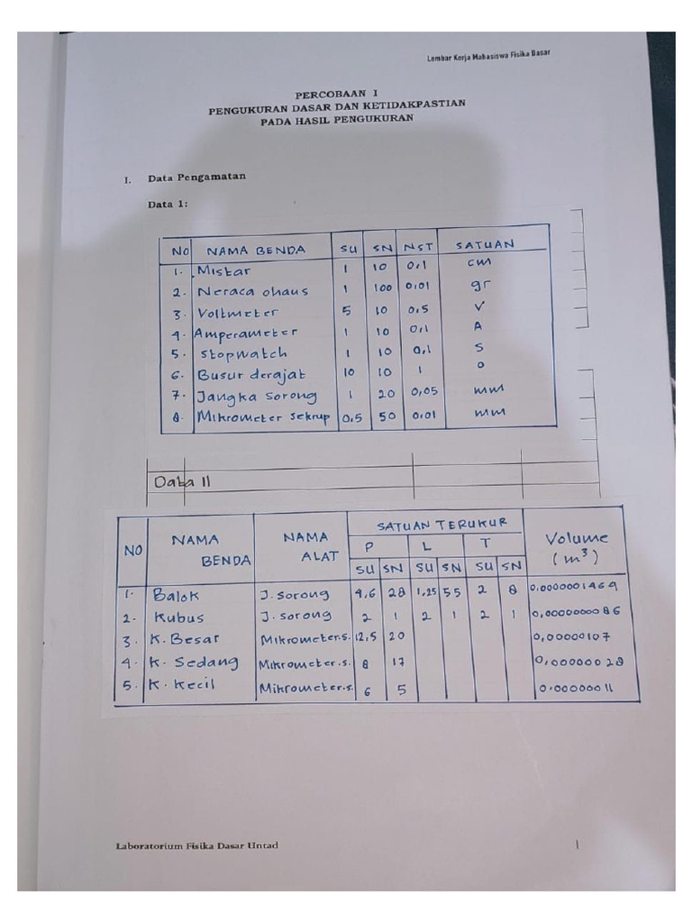 LKM Fisdas Nurfaliza | PDF