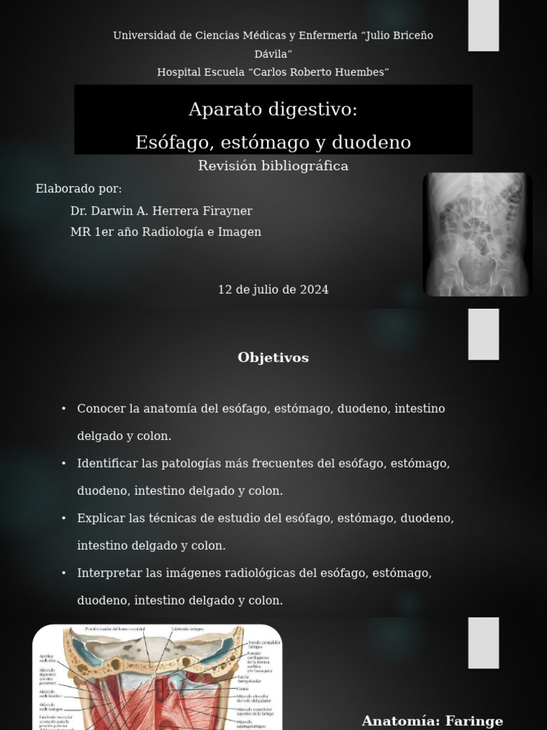 Parte 1 - Esófago, Estómago, Intestino Delgado y Colon | PDF | Esófago ...