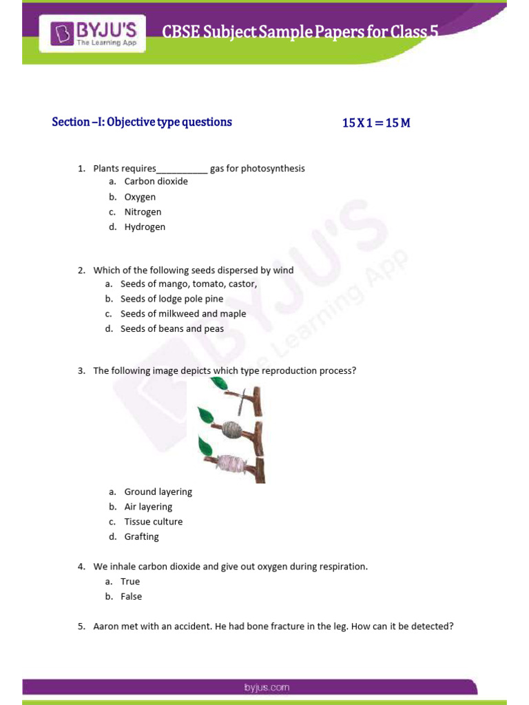 CBSE Class 5 EVS Sample Paper 3 Er | PDF | Atmosphere Of Earth | Foods