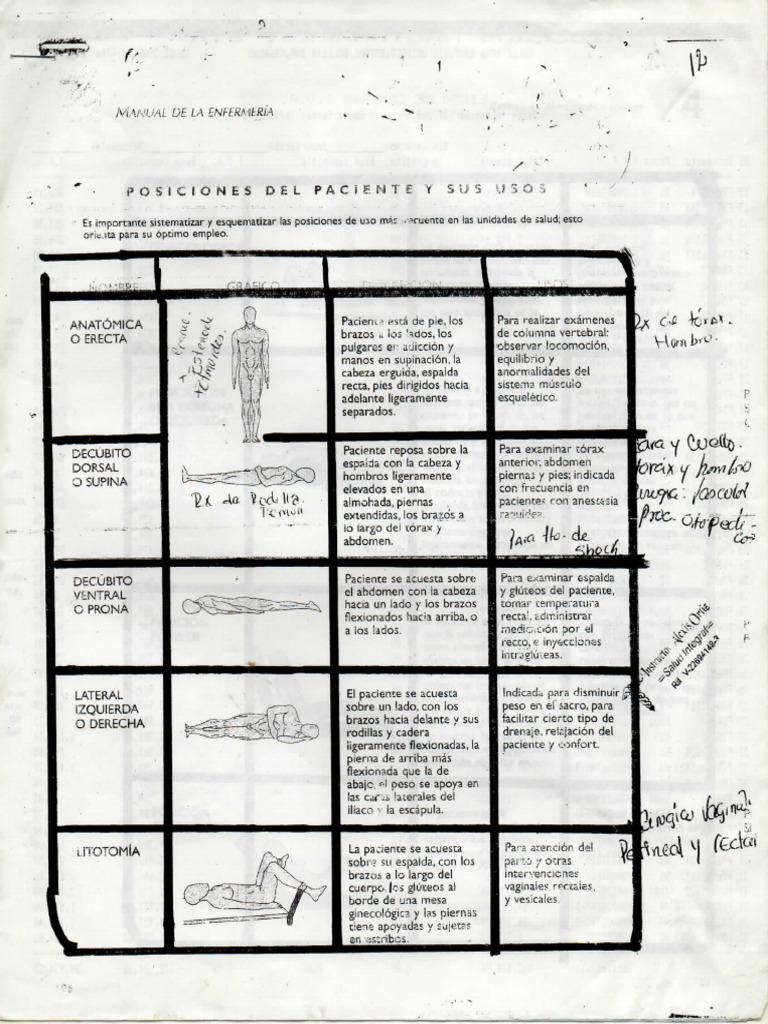Posiciones Anatómicas | PDF | Anatomía | Morfología (biología)