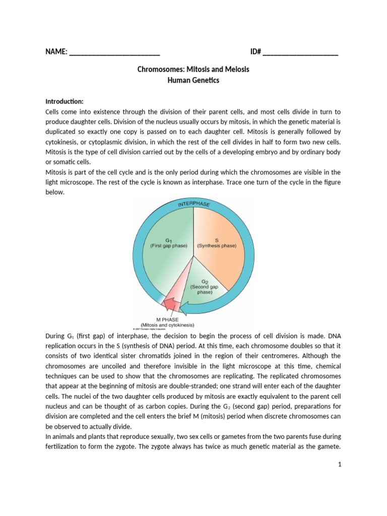 8 9 Mitosis Meiosis and Genetics | PDF | Meiosis | Mitosis