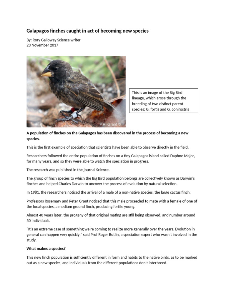 Article and Questions - Galapagos Finches Caught in Act of Becoming New ...