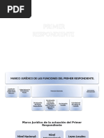 Protocolo Nacional de Actuacion Primer Respondiente | PDF | Policía | Justicia