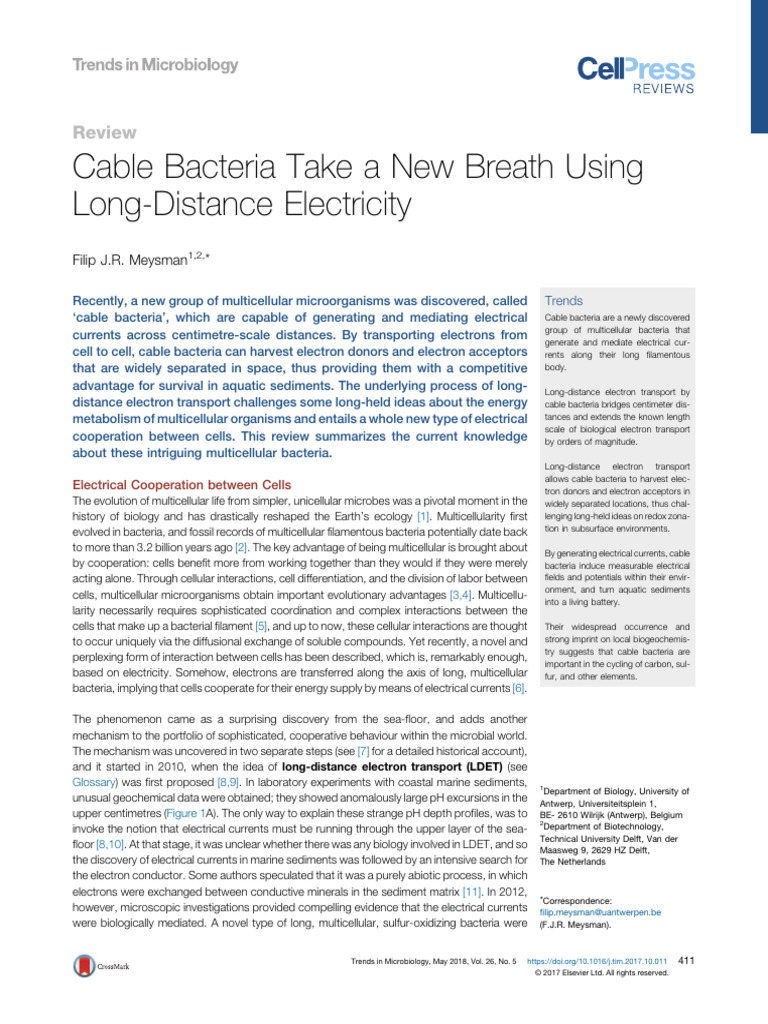 Cable Bacteria Take A New Breath Using Long-Distance Electricity | PDF | Redox | Electron ...