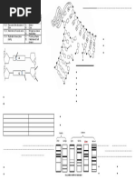 BHSEC 2023 Biology Final 1 QP | PDF | Translation (Biology) | Genetic Code