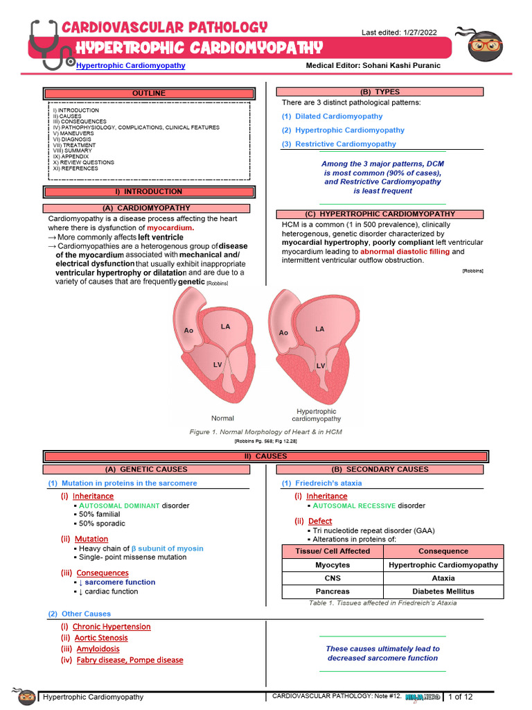 Hypertrophic Cardiomyopathy atf | PDF | Heart | Cardiovascular Diseases