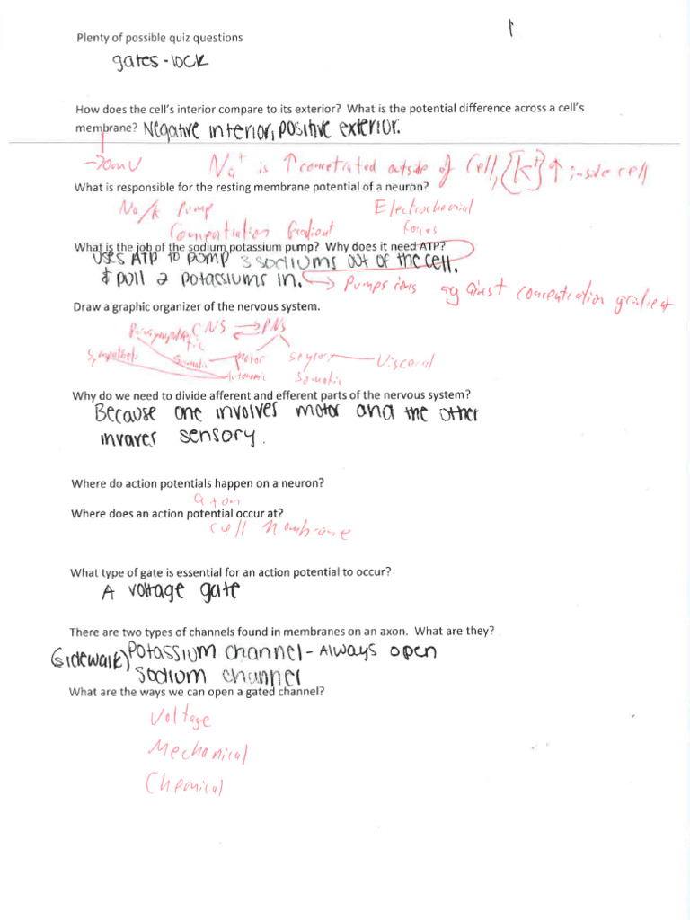 Possible Quiz Question Answers | PDF