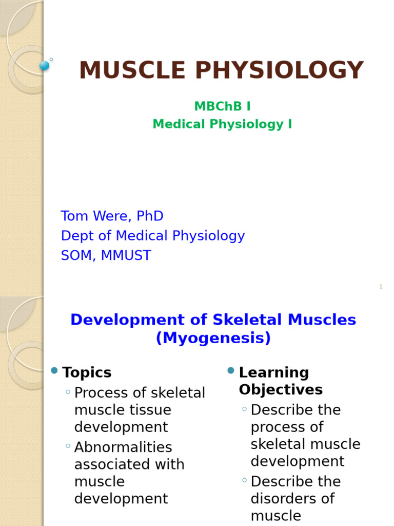 Myogenesis and Muscle Development | PDF | Muscular Dystrophy ...
