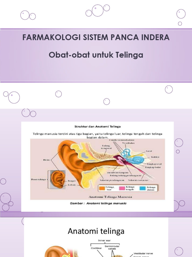 Farmakologi Sist Panca Indera (Telinga) | PDF | Kesehatan Holistik ...
