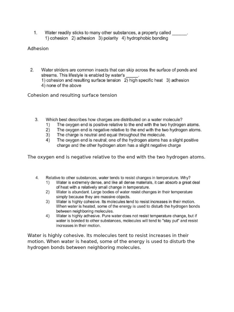 Biochemistry Worksheet 1 | PDF