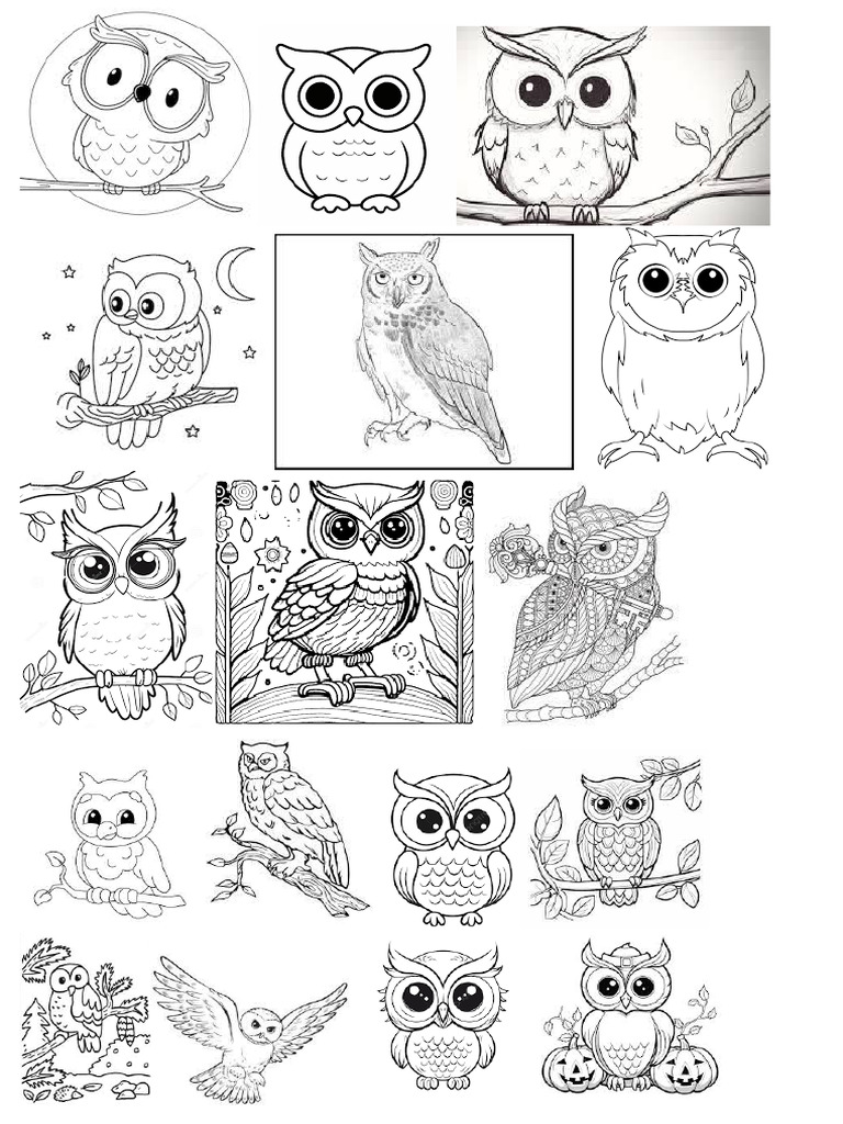 Buhos | PDF