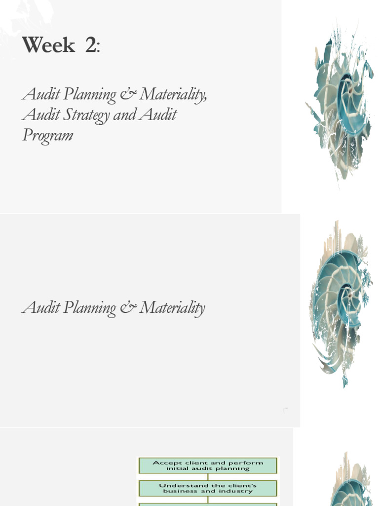 Week 2 Audit Strategy and Audit Plan | PDF | Audit | Enron