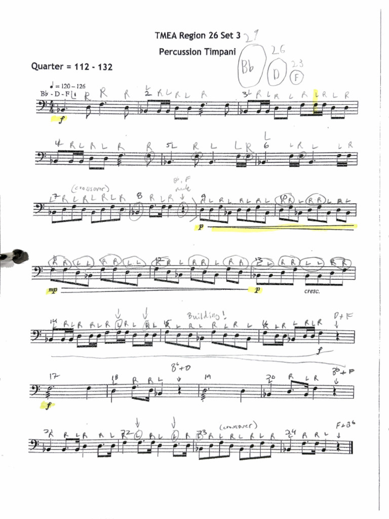 Timpani Region | PDF