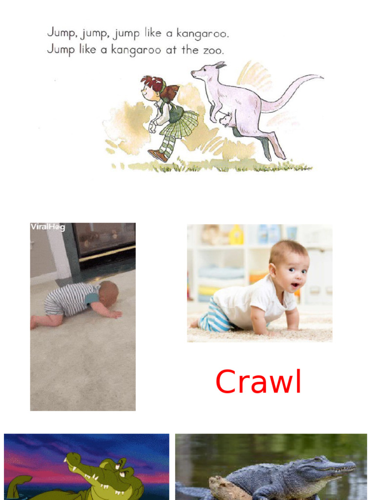 Superkids Starter | PDF | Home & Garden | Social Science