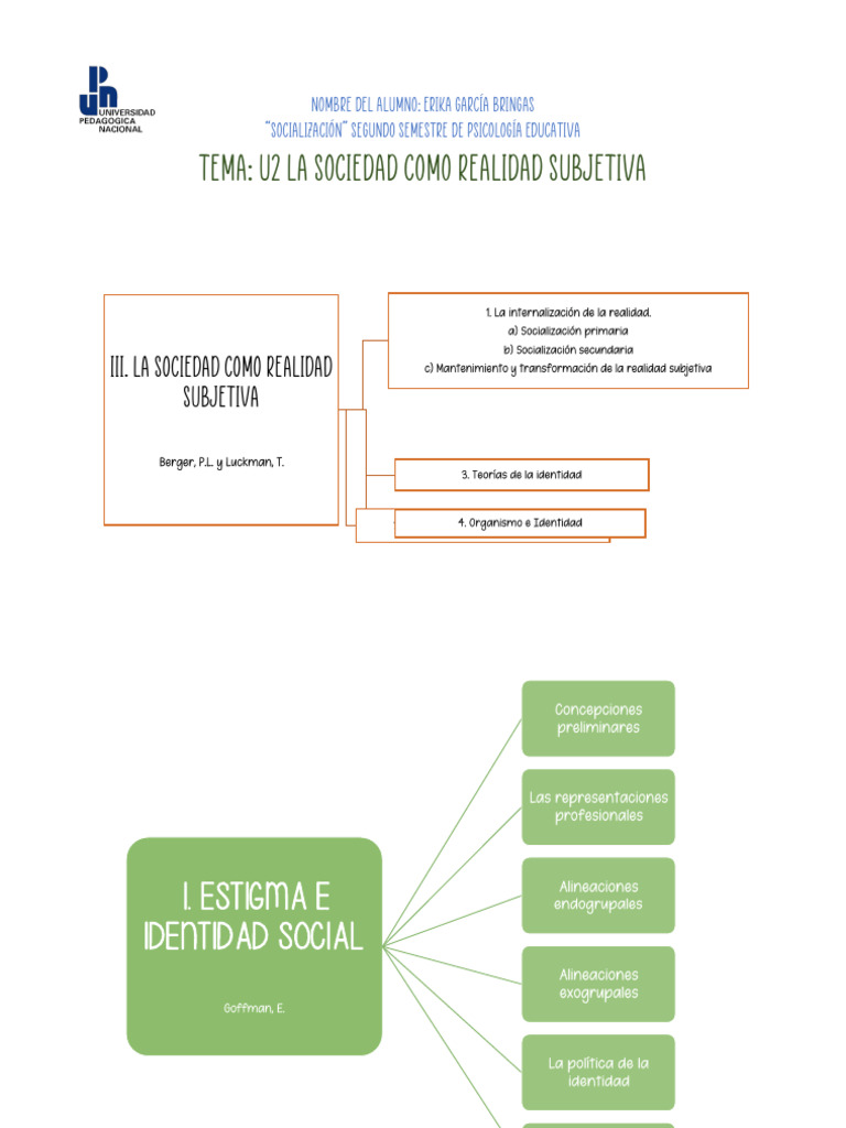 La Sociedad Como Realidad Subjetiva-Esquemas | PDF | Ciencias sociales
