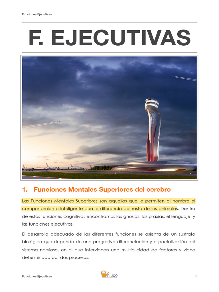 Funciones Ejecutivas | PDF | Funciones ejecutivas | Pensamiento