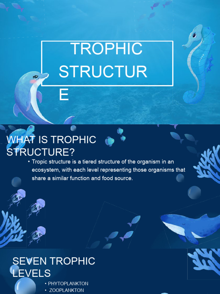 Trophic Structure | PDF