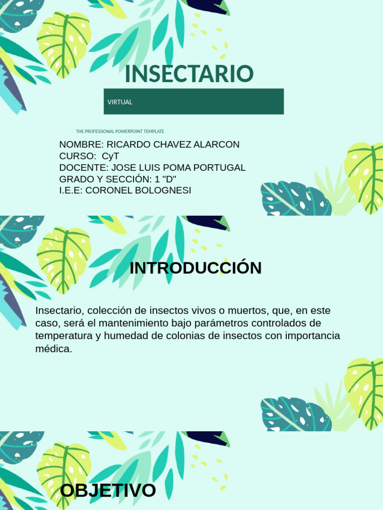 Insectario Ricardo Chavez Alarcon 1d | PDF | Libélula | Insectos